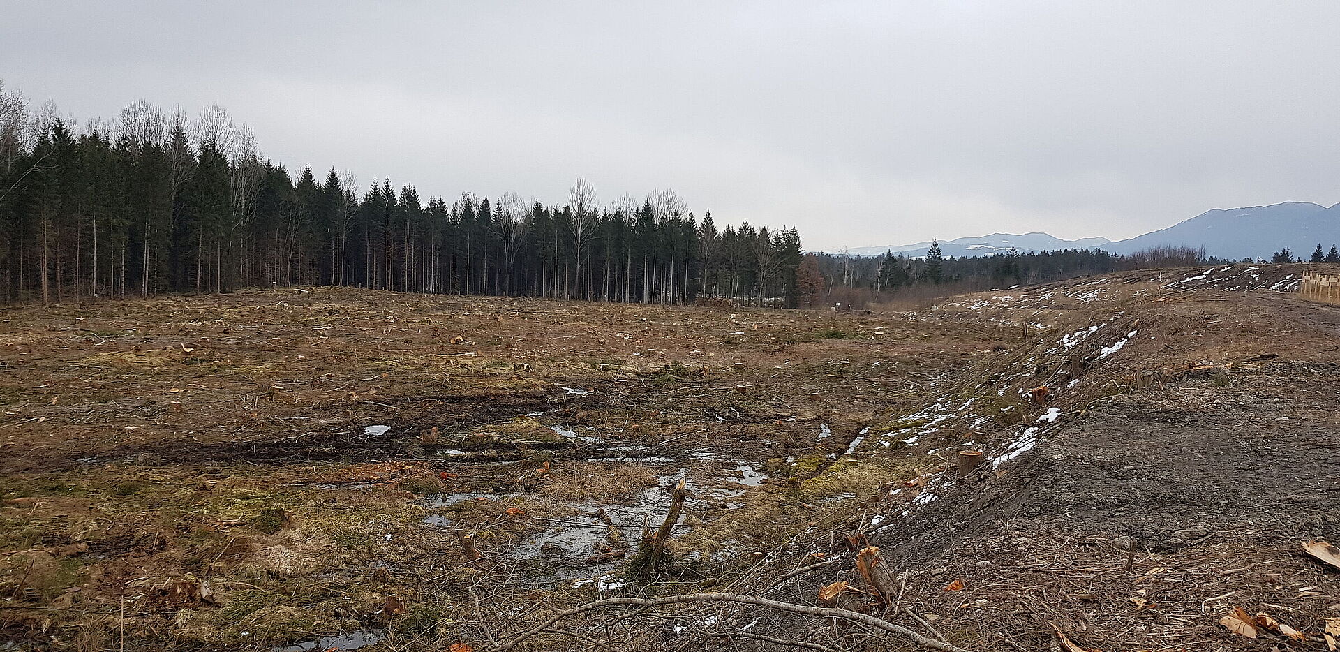 Roche-Erweiterung - BUND Naturschutz Weilheim-Schongau